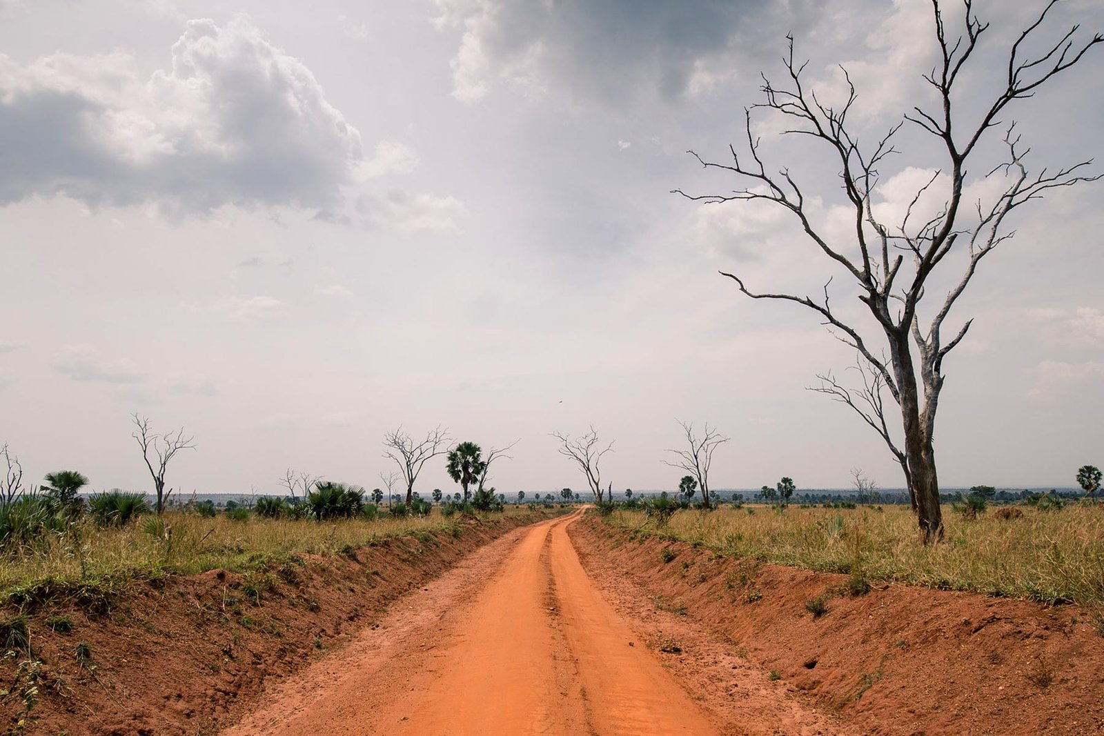 Lake Mburo National Park — Whispers of The Wild